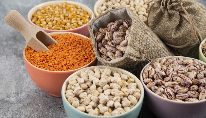 Category: Pulses and Beans - Mequanint Import and Export